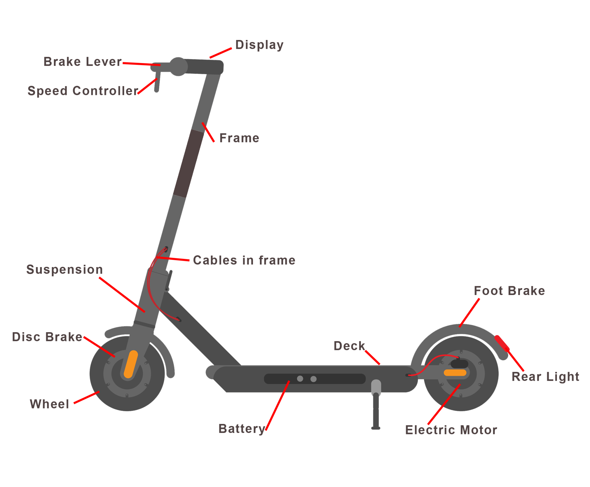 How Electric Scooters Work - Electric Scooter Rider